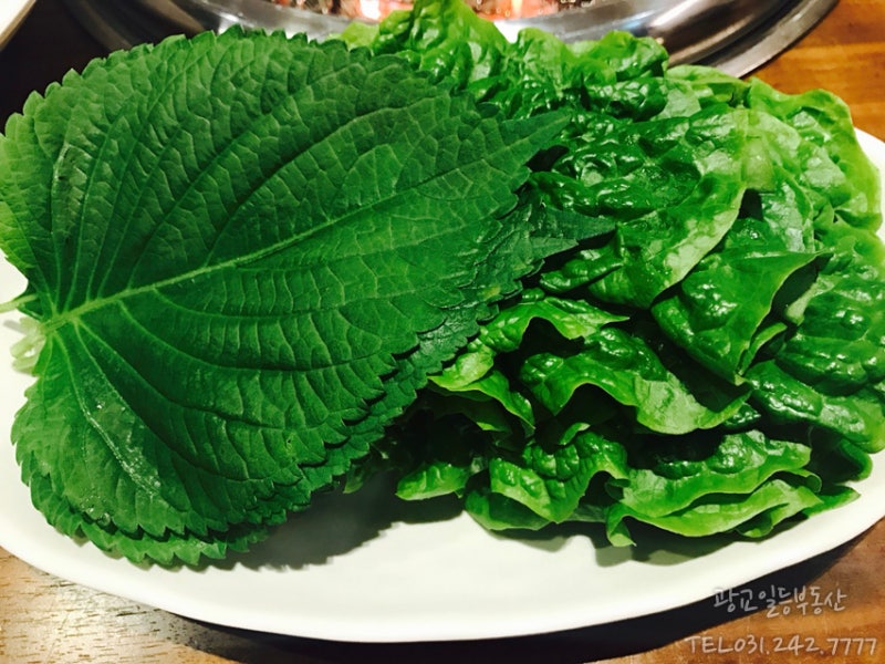 송도이동갈비 광교점광교맛집광교돼지갈비맛집광교천지연송도이동갈비가격 네이버 블로그
