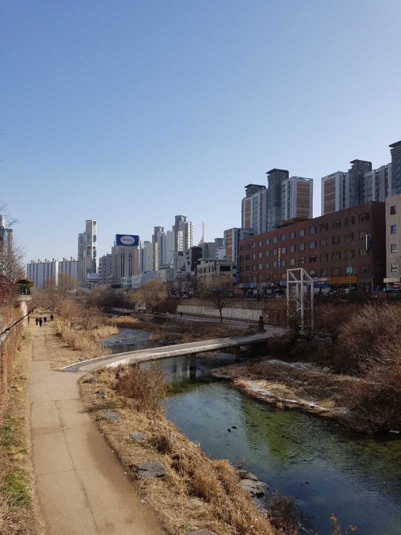 서울청계천8가 주변 풍물시장에 다녀 왔어요 : 네이버 블로그