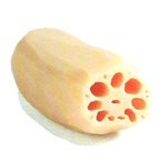 [건강:채소] 연근(lotus root)에 대한 모든 것 : 네이버 블로그