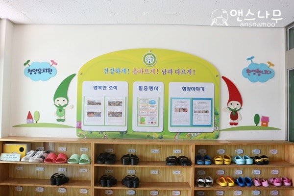 앤스나무청양유치원환경구성어린이집현관입구꾸미기게시판나무벽면장식다문화장식전래동화장식요리실장식명패교실편백나무패널장식
