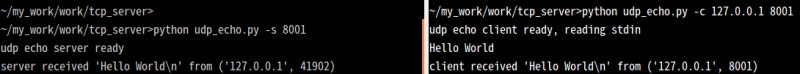 파이썬(Python) UDP Echo Server / Client 소스 코드 및 설명 : 네이버 블로그