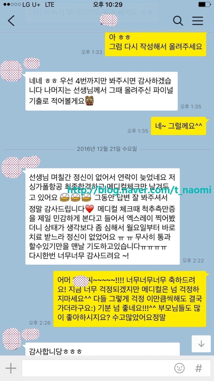 싱가포르항공 승무원 합격수기 네이버 블로그