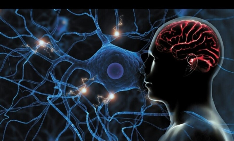 감정역치(emotional threshold) : 네이버 블로그