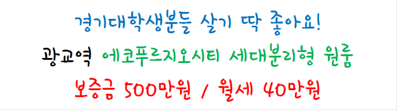 경기대후문원룸경기대학교원룸광교역원룸광교역세대분리형원룸광교에코푸르지오시티세대분리형원룸월세 네이버 블로그