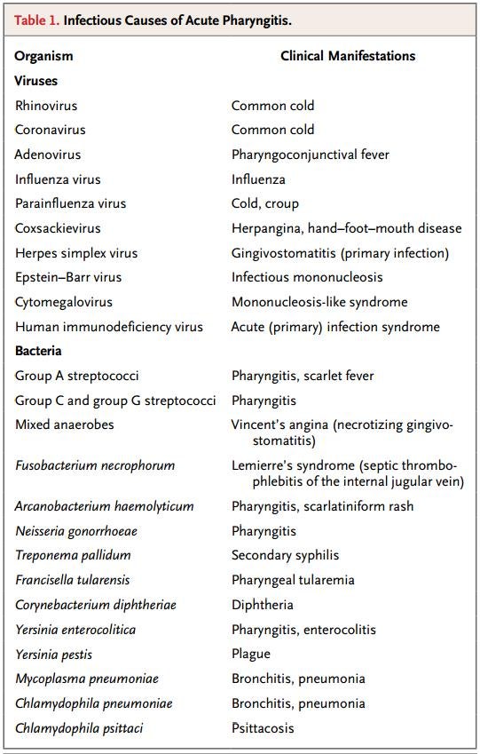 연쇄상구균 인두염, Streptococcal pharyngitis, Centor criteria : 네이버 블로그