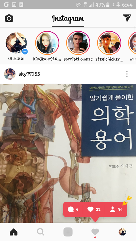 인스타 팔로워 늘리기 그린인스타 효과만점 네이버 블로그