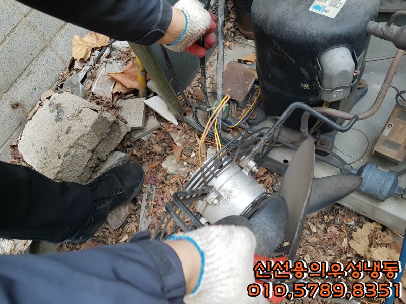 성북구 구내 식당업소용 저온 저장고 냉장 창고 실외기 휀모타 고장 교환워크인 냉장고 개스 충전 수리 네이버 블로그