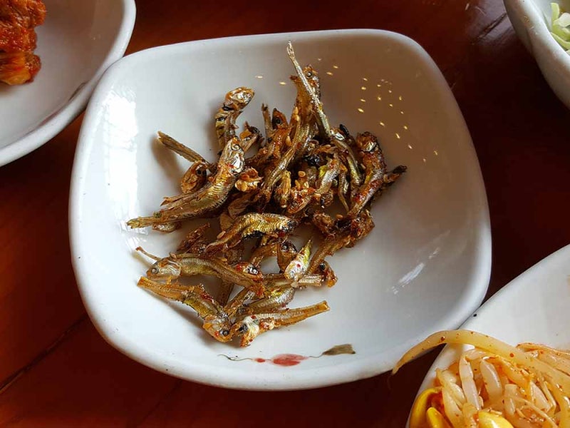 담양갈비맛집 수북 꽃돼지 감나무집 후기 네이버 블로그