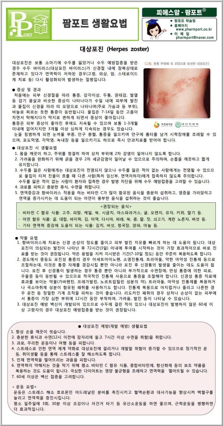 팜포트 지판플러스정 일성신약 약품정보 복약안내문 생활요법 진통제 네이버 블로그