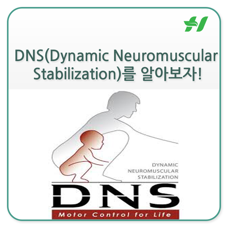 DNS(Dynamic Neuromuscular Stabilization)를 알아보자! : 네이버 블로그