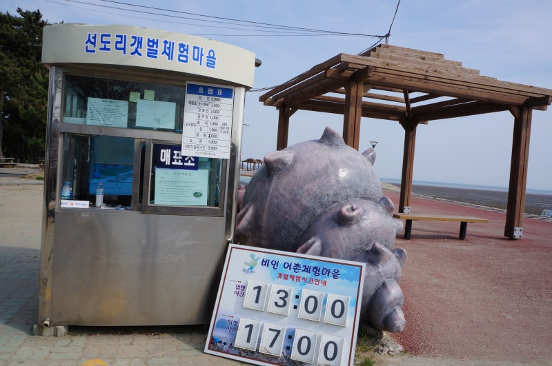 서천 선도리 갯벌체험 마을에서 갯벌체험 네이버 블로그