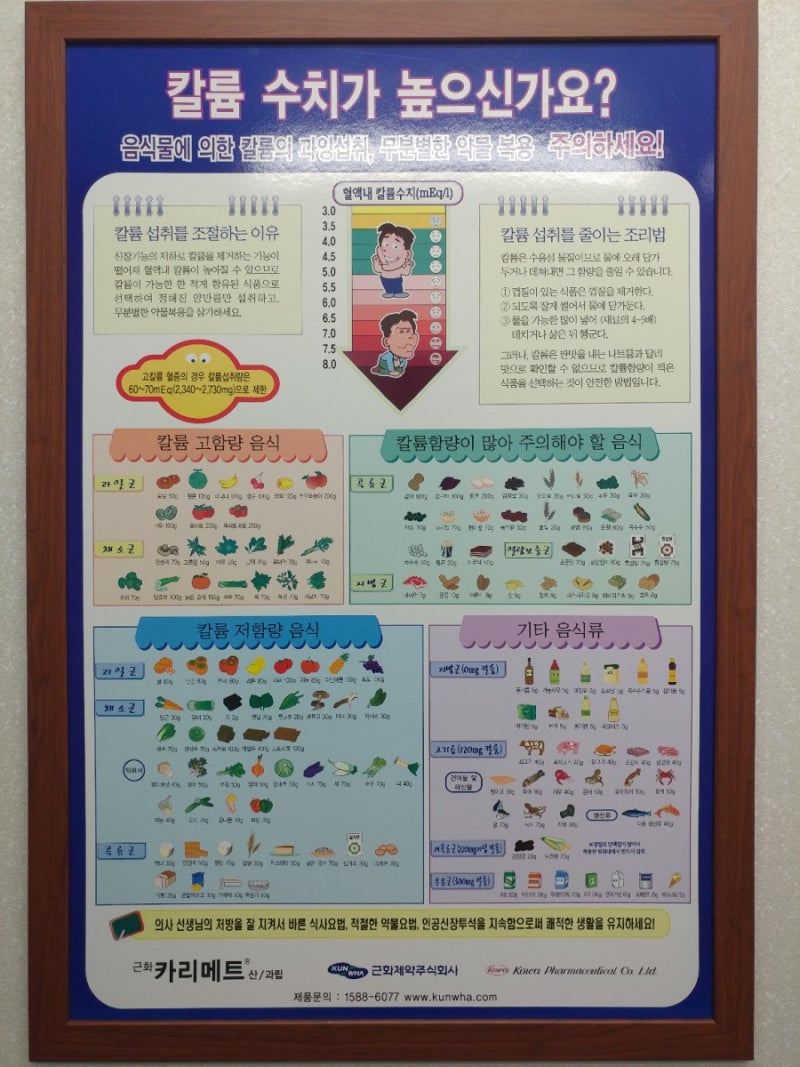 칼륨 식품 차트
