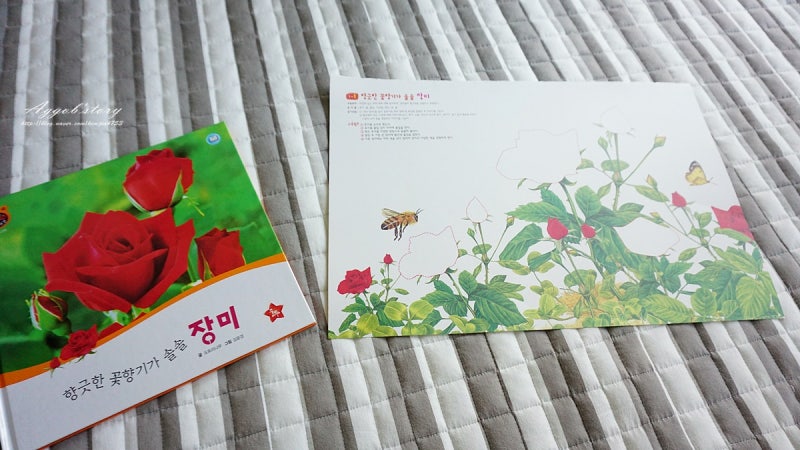 자연관찰 추천 글뿌리 독후활동도 확실히 네이버 블로그