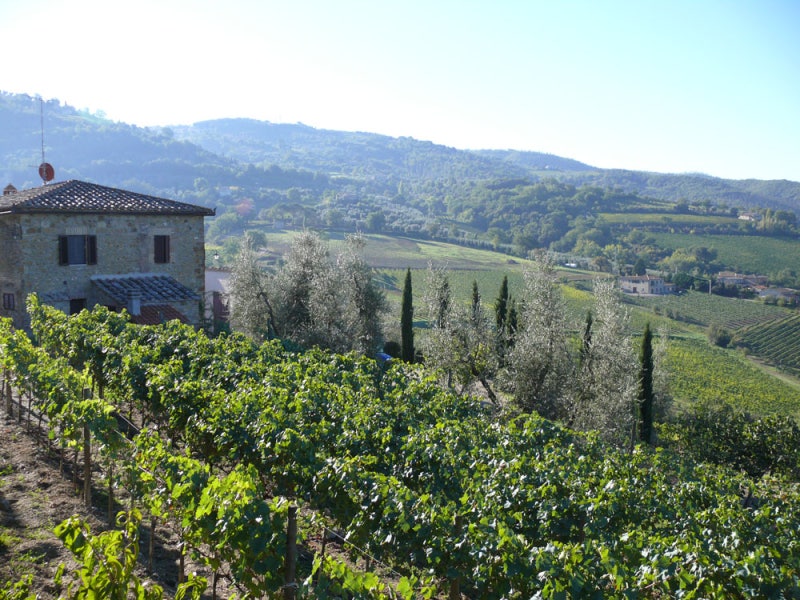 Pinino, Brunello di Montalcino DOCG, Tuscany, 2010 (피니노 브루넬로 디 몬탈치노 ...