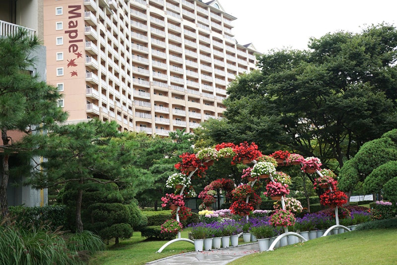 홍천 대명리조트 비발디파크 루지월드 야간 곤돌라 즐기고 오크동 묵기 네이버 블로그