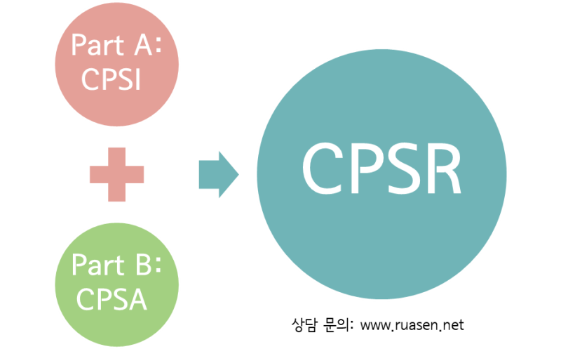 CPSR이란? - 유럽 화장품 수출 인허가 CPNP 알아보기 : 네이버 블로그