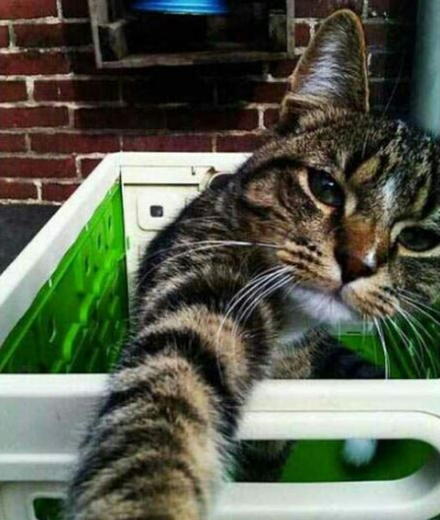 인스타 해시태그모음 꿀팁! 복사하기+붙혀넣기면 완성~ : 네이버 블로그