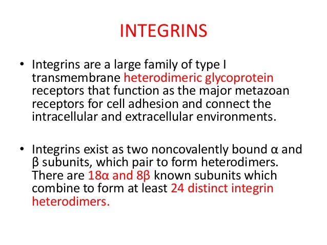 Integrin 의 구조 : 네이버 블로그