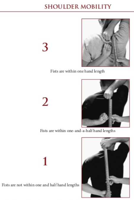 마포공덕피티 FMS,SFMA 교정운동 어깨SM(Shoulder Mobility)에 좋은 운동 1탄 : 네이버 블로그