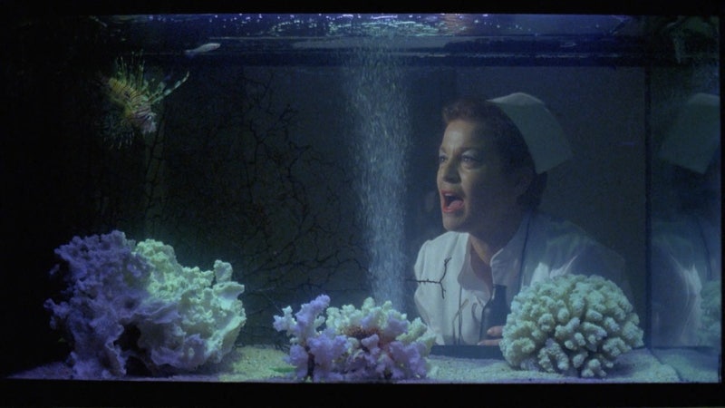 아쿠아리스 (Deliria, StageFright, Aquarius, 1987) : 네이버 블로그