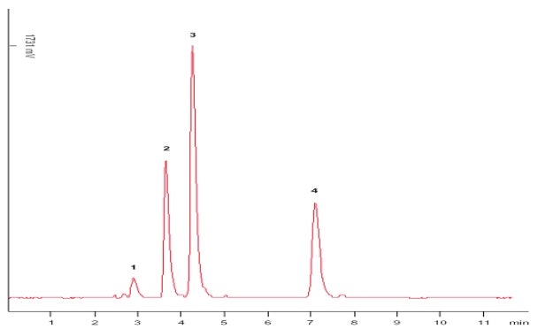 HPLC Column, Bischoff ProntoSIL Eurobond C18 : 네이버 블로그