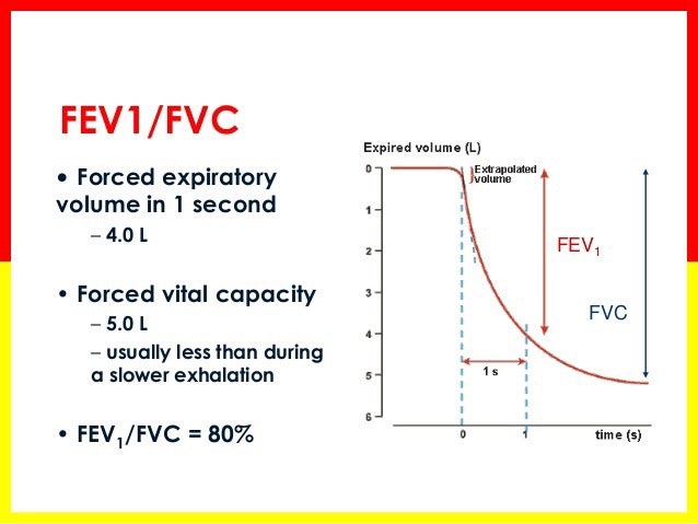[트레이닝] 폐기능 검사 (FVC, FEV1) 알아보기 /100body : 네이버 블로그