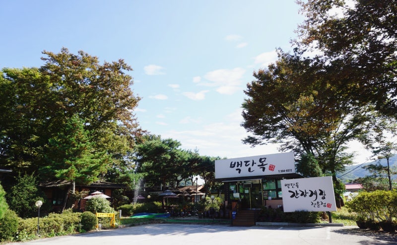 남양주 애견동반식당 백단목 고동이 할모니 생파데이 네이버 블로그