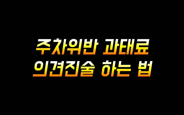 주정차 위반 과태료부과 의견진술 하는 법 양식참고 네이버 블로그