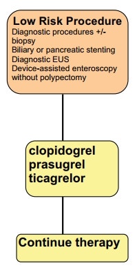 내시경 시술과 항혈소판제제, Endoscopy in patients on antiplatelet therapy(BSG, ESGE ...
