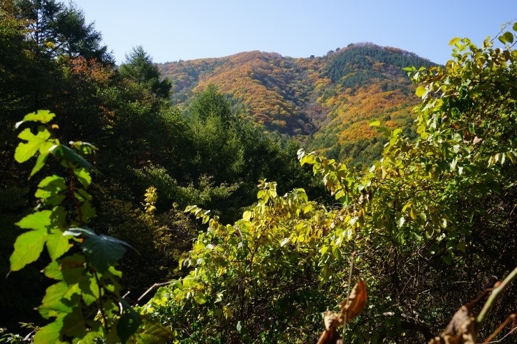 원주제천 백운산자연휴양림에서 떠나는 가을 소풍길 원주백운산~ 네이버 블로그