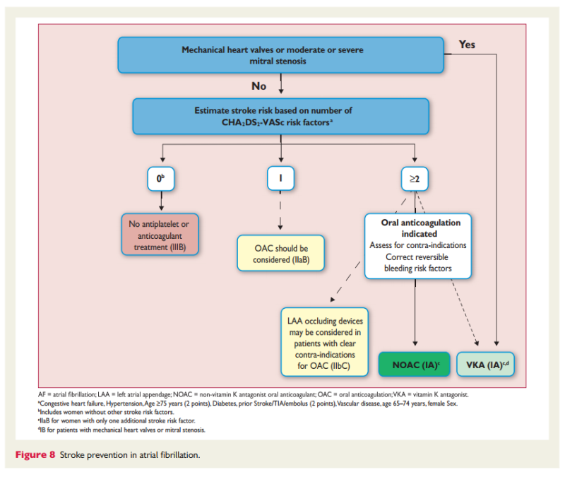 AF, spontaneous cardioversion인 경우에 항응고 전략 : 네이버 블로그