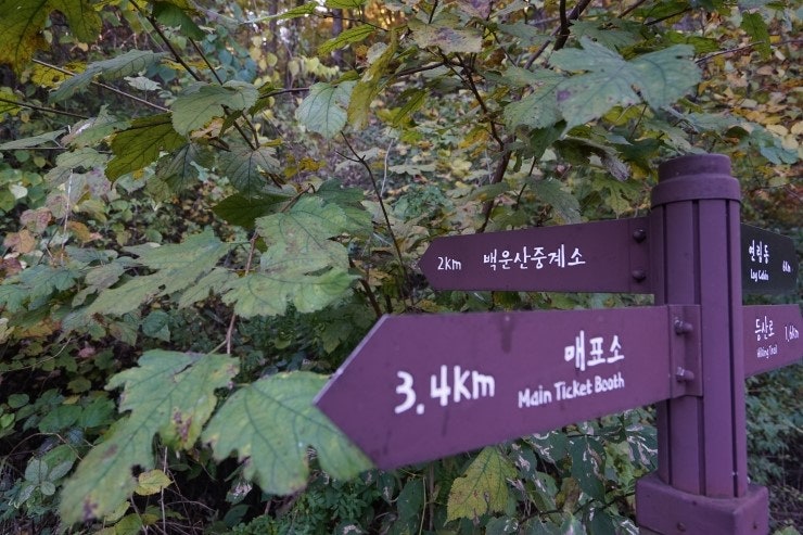원주제천 백운산자연휴양림에서 떠나는 가을 소풍길 원주백운산~ 네이버 블로그