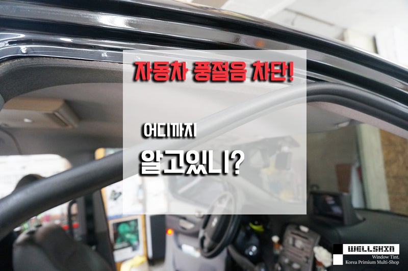 자동차 풍절음 차단 도어 순정 고무몰딩 교체로 풍절음 해결했어요 네이버 블로그