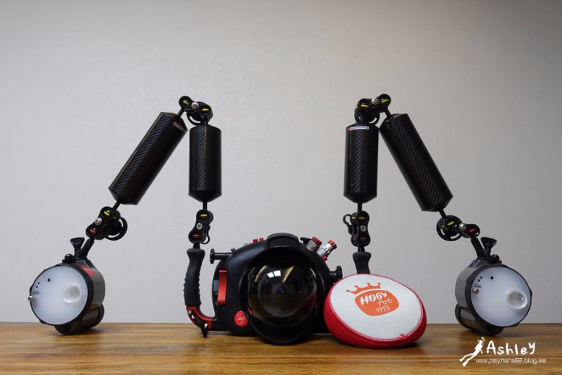 수중카메라 - 캐논 70D + 유기포트 하우징 + 부력암 + INON z240 : 네이버 블로그