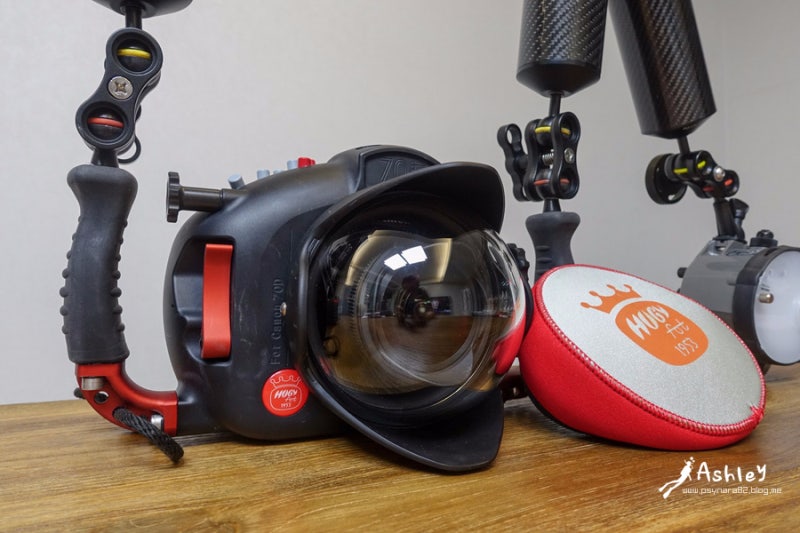 수중카메라 - 캐논 70D + 유기포트 하우징 + 부력암 + INON z240 : 네이버 블로그