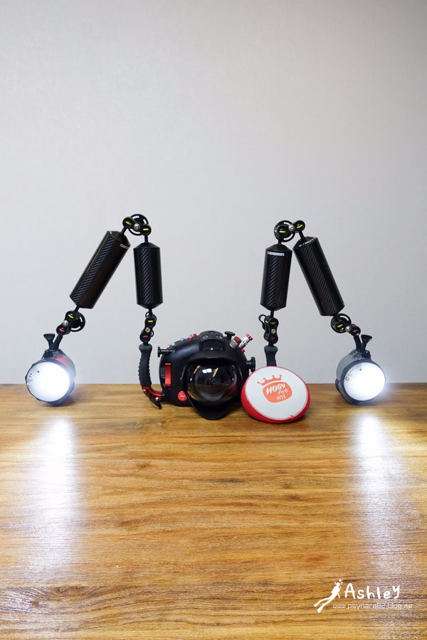 수중카메라 - 캐논 70D + 유기포트 하우징 + 부력암 + INON z240 : 네이버 블로그