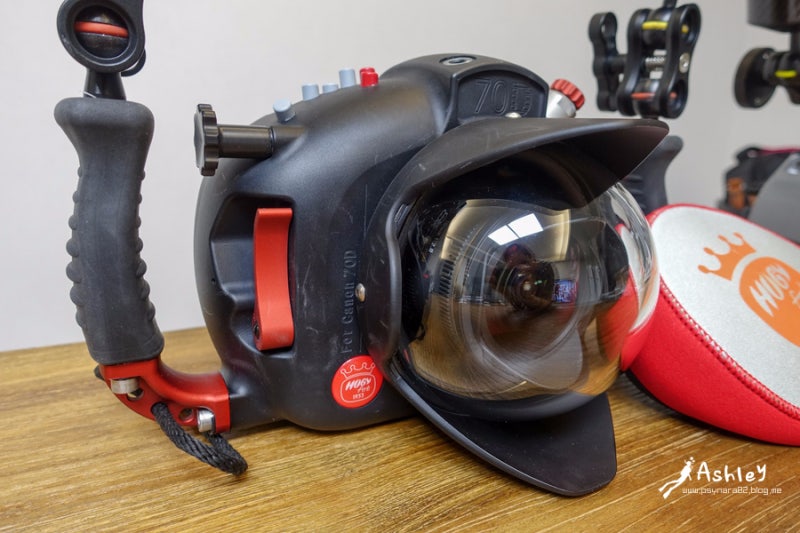 수중카메라 - 캐논 70D + 유기포트 하우징 + 부력암 + INON z240 : 네이버 블로그