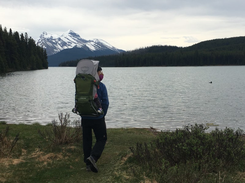 Jasper(재스퍼) 20170608 야생동물_ 사슴, 엘크 그리고 곰, 멀린 레이크 Maligne Lake_ Mary ...