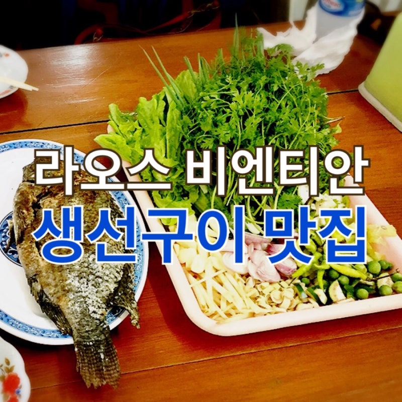 라오스 비엔티안 거대 민물생선구이 맛집 네이버 블로그