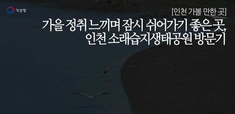 인천 가볼 만한 곳 가을 정취 느끼며 잠시 쉬어가기 좋은 곳 인천 소래습지생태공원 방문기 네이버 블로그