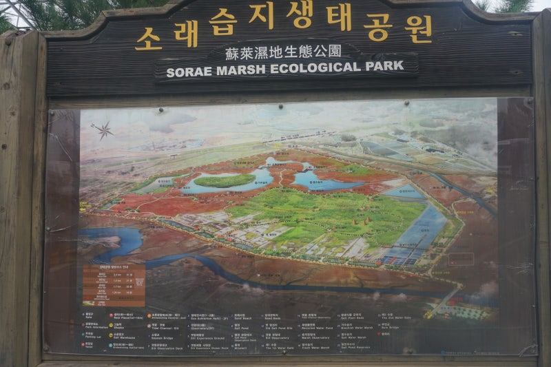 인천 가볼 만한 곳 가을 정취 느끼며 잠시 쉬어가기 좋은 곳 인천 소래습지생태공원 방문기 네이버 블로그