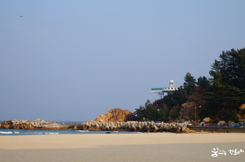 강원도 양양 가볼만한곳 하조대 소나무 하조대 전망대 네이버 블로그