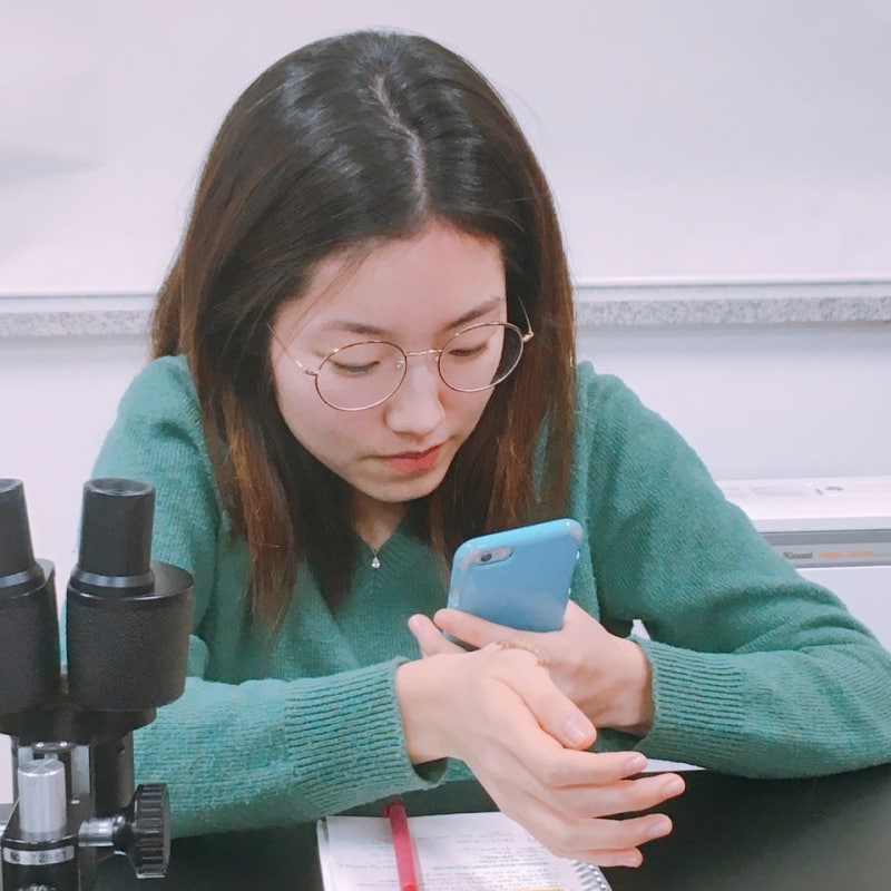 현미경으로 보는 생물들 양파 표피세포 해캄 달개비 잎의 기공 세포 백합의 횡단면과 종단면 밀웜 관찰과 닭발 힘줄