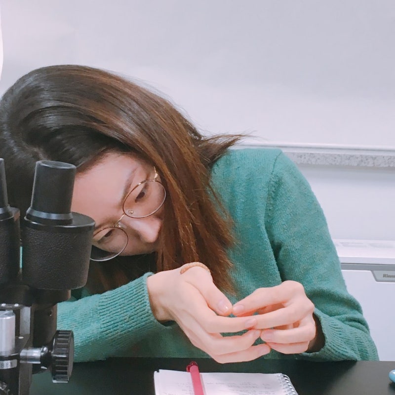 현미경으로 보는 생물들 : 양파 표피세포, 해캄, 달개비 잎의 기공 세포, 백합의 횡단면과 종단면, 밀웜 관찰과 닭발 힘줄 ...