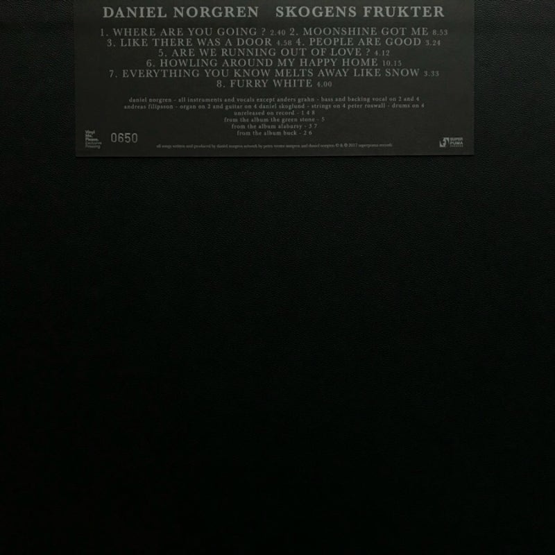 [LP, 엘피] Daniel Norgren(다니엘 놀그렌) - Skogens Frukter (Northern Lights 마블 ...