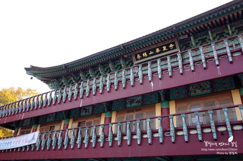 파주 가볼만한곳 커다란 불상이 있는 심학산 약천사 네이버 블로그