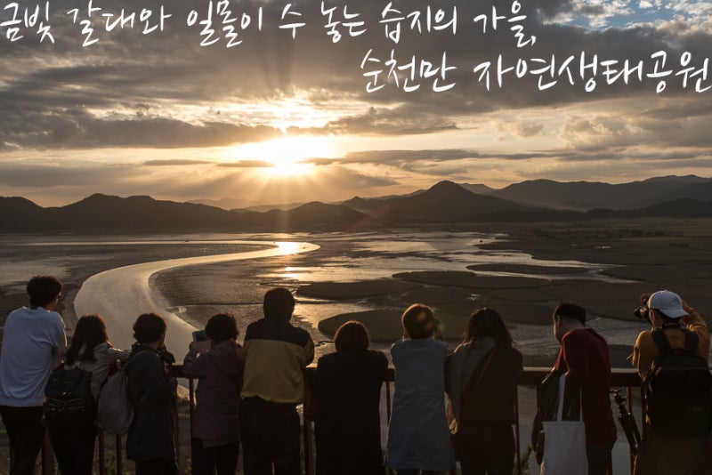 전남 가볼만한곳 순천만 습지 갈대밭 입장료 일몰시간 네이버 블로그