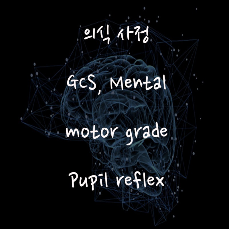 환자 의식 사정하기. [Mental(의식수준), GCS 사정(Glasgow Coma Scale), Motor Grade ...