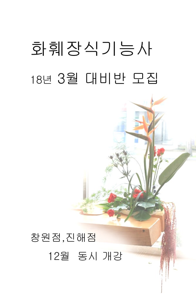창원플로리스트 학원창원꽃집창업반창원화훼장식기능사진해꽃수업마산플라워레슨마산꽃수업꽃집창업창원꽃수업 창원꽃학원플로