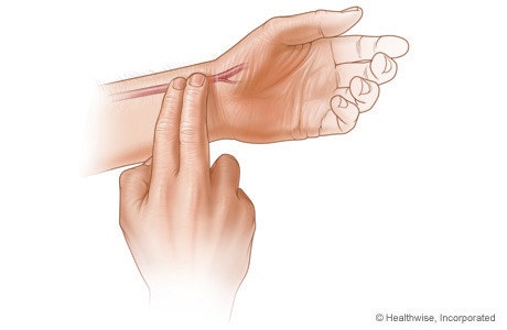 핵심기본간호술기 첫 번째 : 활력징후(Vital Sign, V/S[체온, 맥박, 호흡, 혈압]) / 이론편 : 네이버 블로그